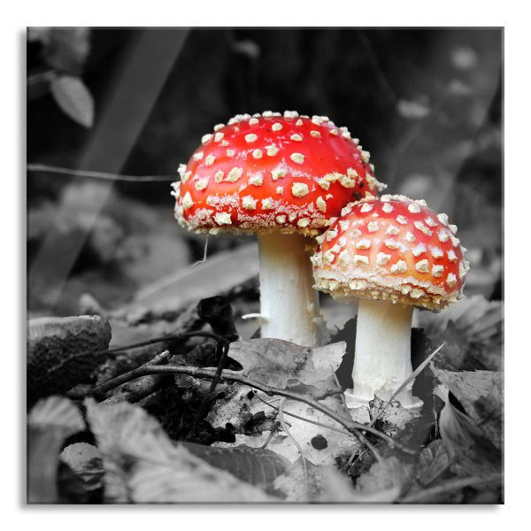 Brayden Studio Two Small Toadstools In The Forest - No Frame Print on Glass | Wayfair.co.uk